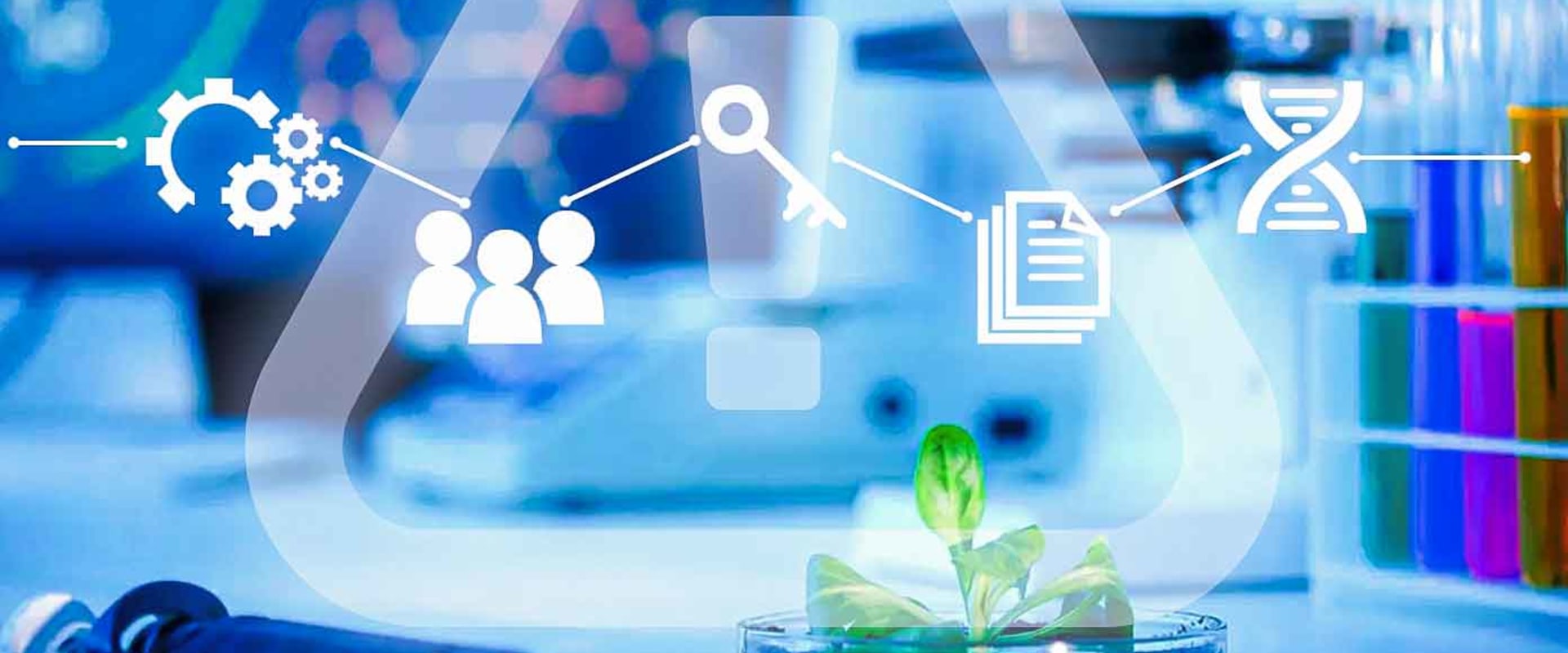 What are 3 risks of biotechnology?